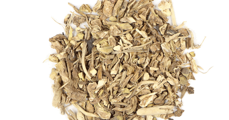 yellow dock root uk