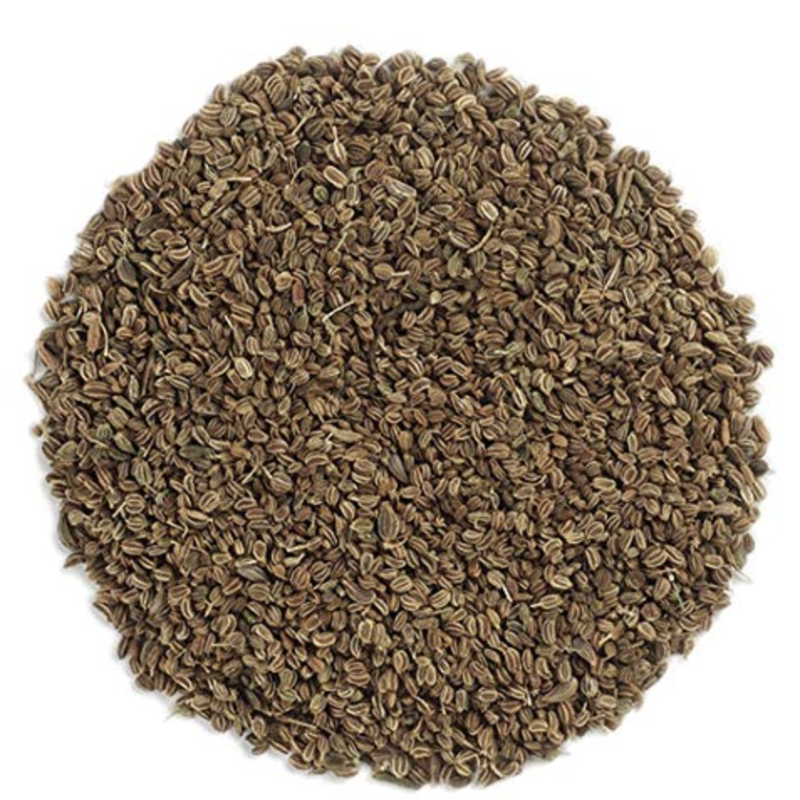 Celery Seed | Wild Celery